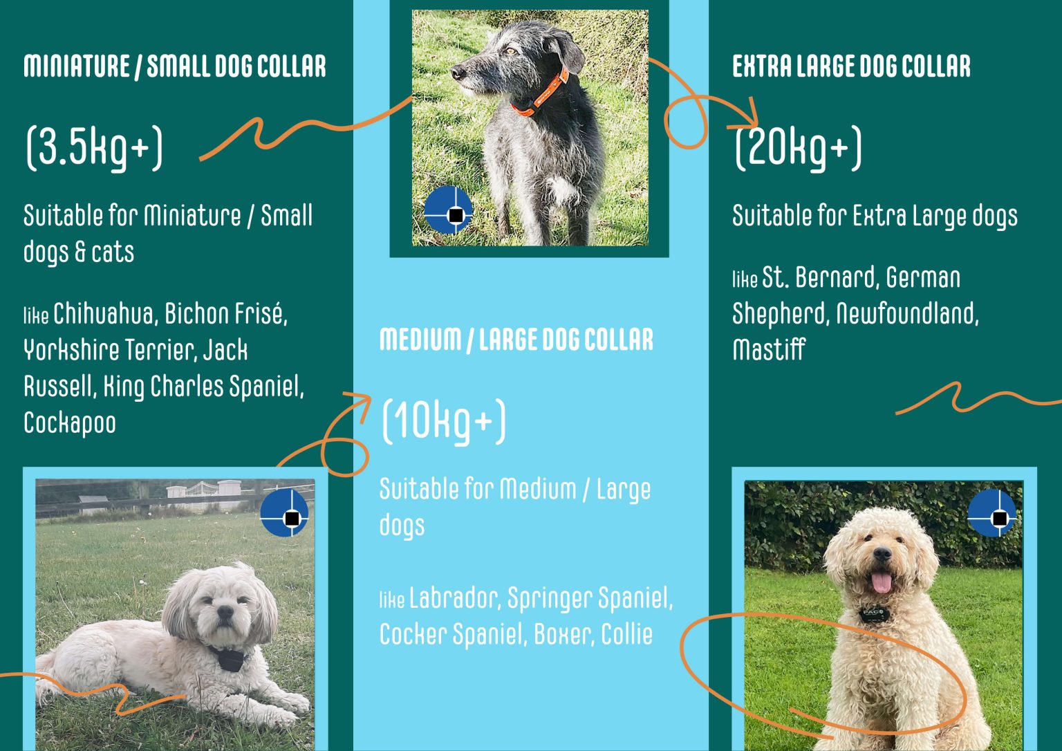 PACDOG Collar Finder | Dog Training Systems | Pet Fences | Bark Controller